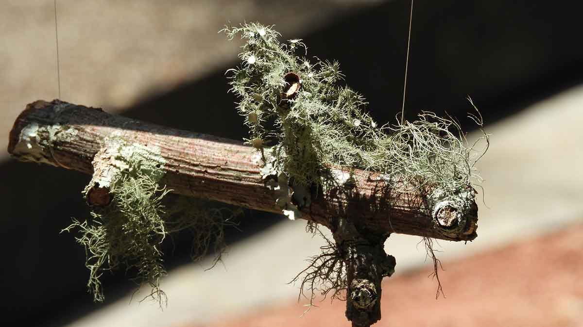 In Tlilli in Tlapalli; exposición artística. – Ocioltura – Revista ...